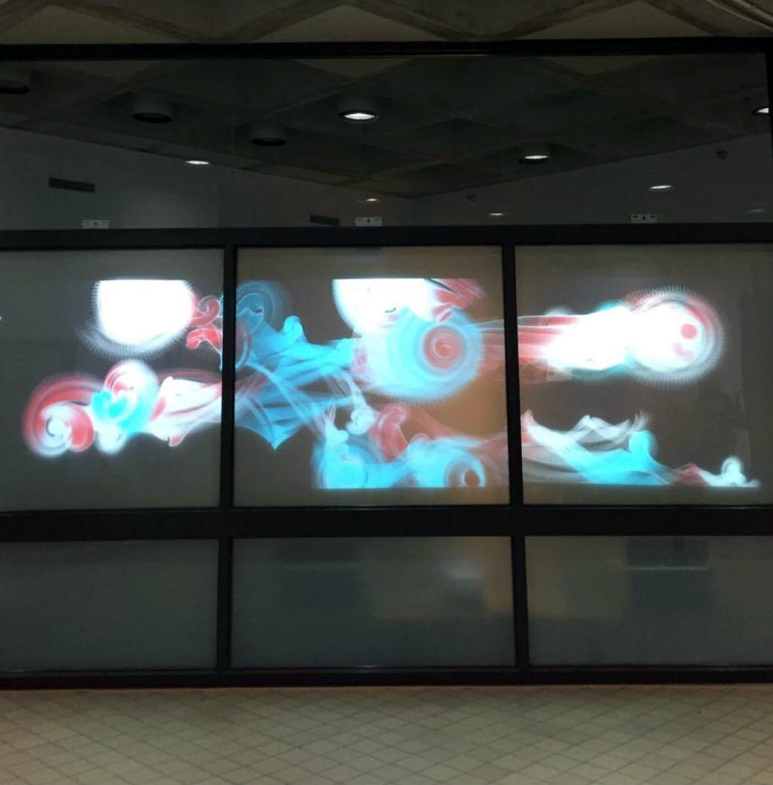 Alex Braidwood : Sound Artist : Acoustic Ecologist : Art + Design Educator